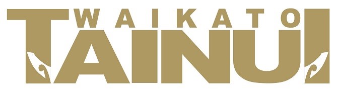 Adoption in Aotearoa